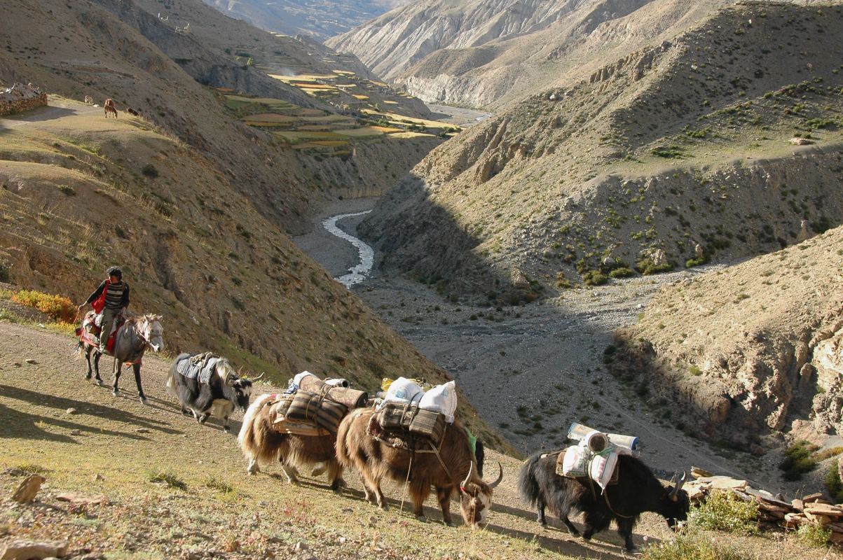 Things to know about Dolpa- OMG Nepal
